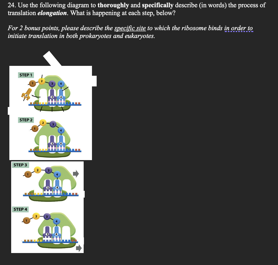 Solved Use the following diagram to thoroughly and | Chegg.com
