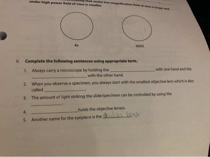 Solved ung that under low magnification held of view is | Chegg.com
