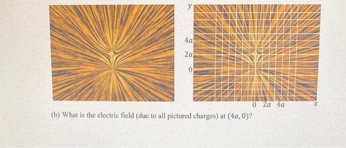 Solved The grass seeds diagram above represents the electric | Chegg.com