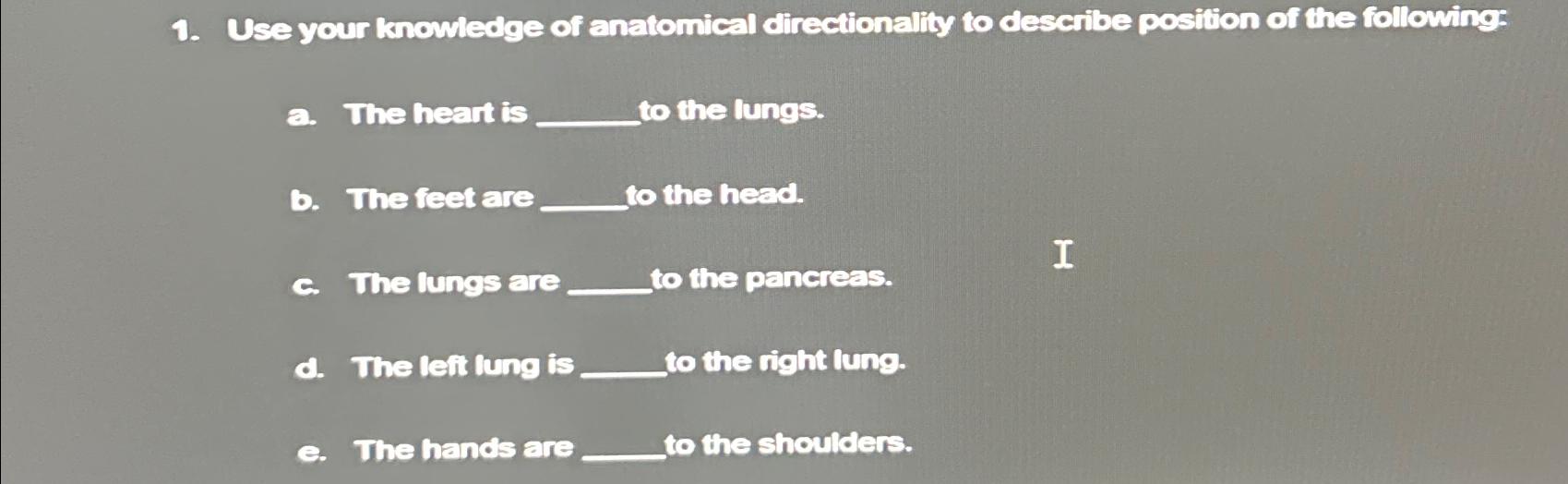 Solved Use your knowledge of anatomical directionality to | Chegg.com
