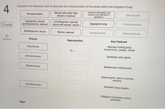 Solved 4 Complete the following chart to describe the | Chegg.com