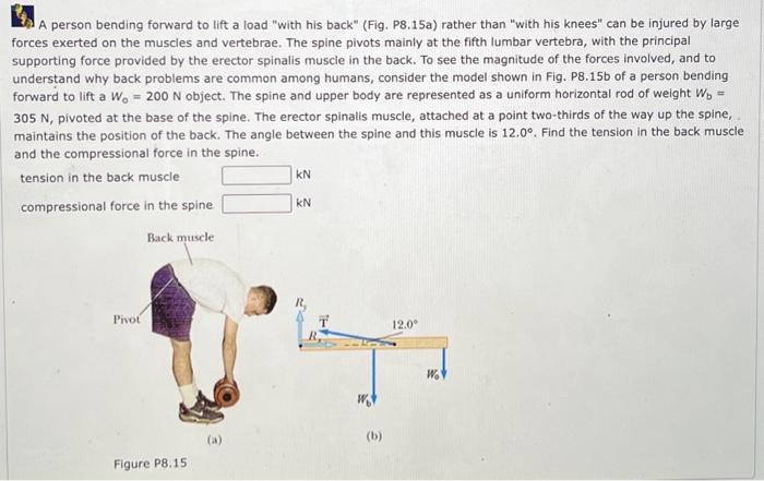 Solved A person bending forward to lift a load "with his | Chegg.com