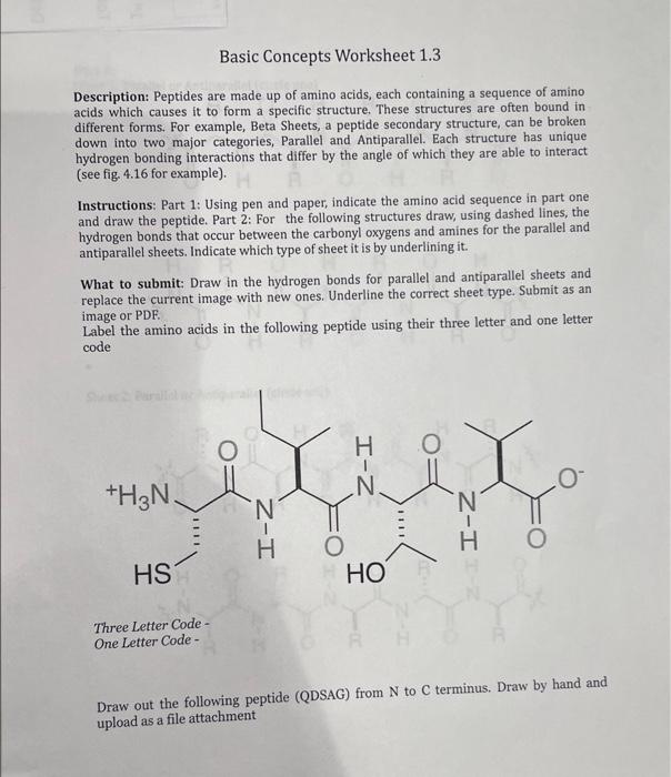 Solved Basic Concepts Worksheet 1.3 Description: Peptides | Chegg.com