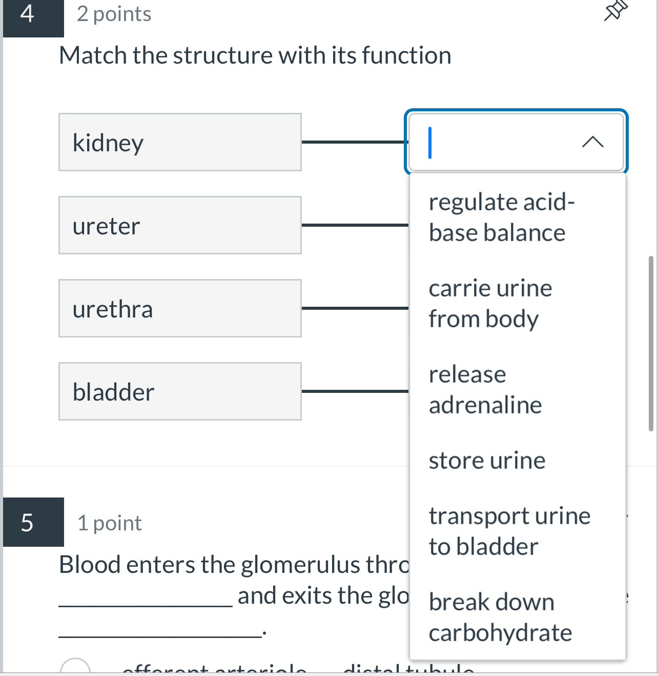 Solved 42 ﻿pointsMatch the structure with its functionq, | Chegg.com