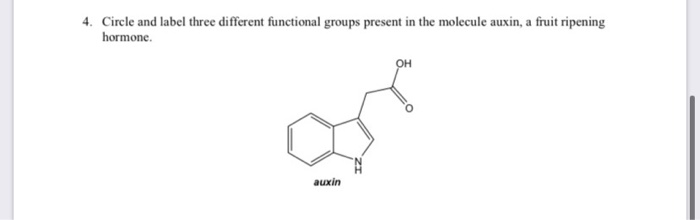 Solved 4. Circle and label three different functional groups | Chegg.com