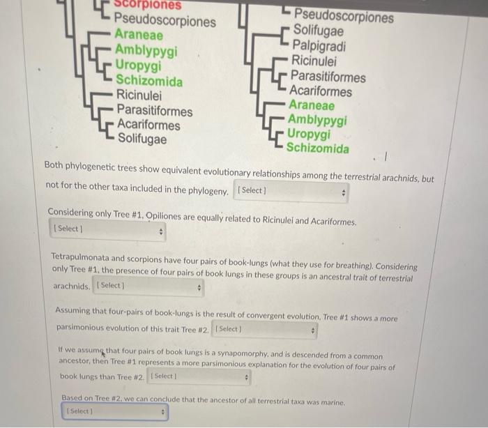 Solved Both phylogenetic trees show equivalent evolutionary | Chegg.com