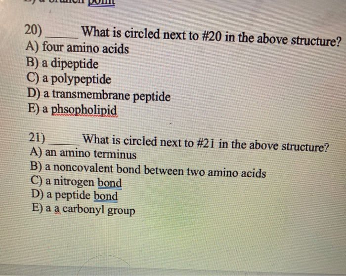 Solved Toar SImmata CH) SH OH #18 OH H3C #20 #17) CH2 CH CH2 | Chegg.com