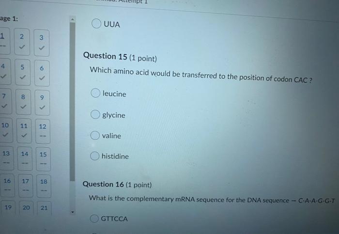 Solved Short Answers Question 1 (2 points) Using the codon | Chegg.com