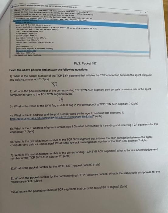 Fig3. Packet \#87 Exam the above packets and answer | Chegg.com
