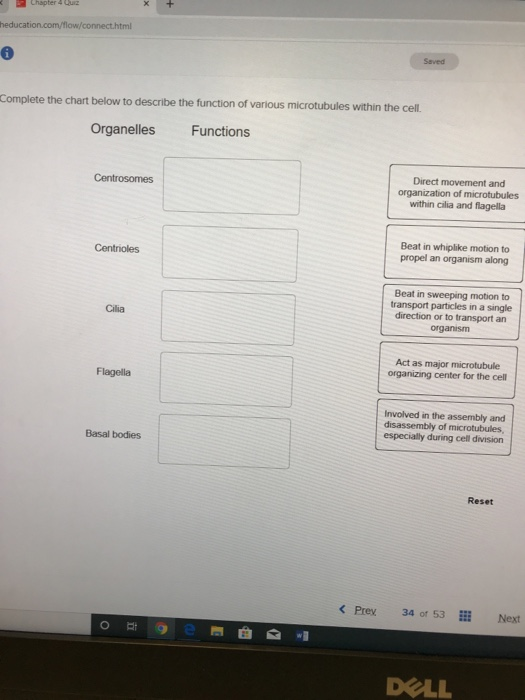 Solved Chapter 4 Luz theducation.com/flow/connect.html Saved | Chegg.com