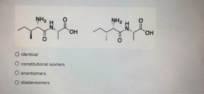 Solved NH2 NH2 H N OH OH O identical O constitutional | Chegg.com