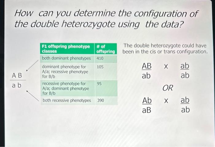 Solved How can you determine the configuration of the double | Chegg.com