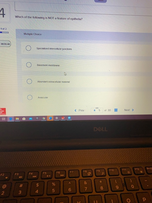 solved-4-which-of-the-following-is-not-a-feature-of-chegg