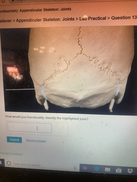 Solved Ordbacheh): Appendicular Skeleton: Joints adaver > | Chegg.com Solved Ordbacheh): Appendicular Skeleton: Joints adaver > | Chegg.com