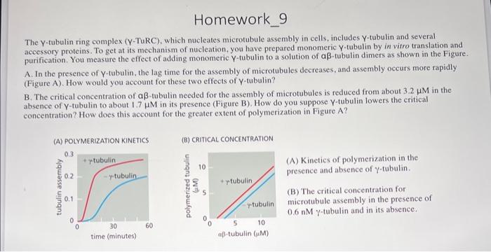 The y-tubulin ring complex ( Y-TuRC), which nucleates | Chegg.com