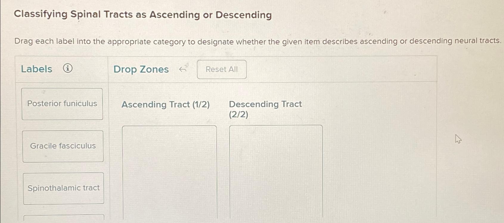 Solved Classifying Spinal Tracts as Ascending or | Chegg.com