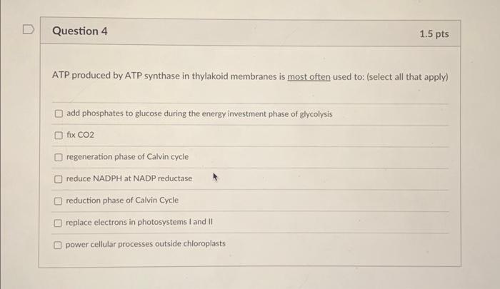 Solved ATP produced by ATP synthase in thylakoid membranes | Chegg.com