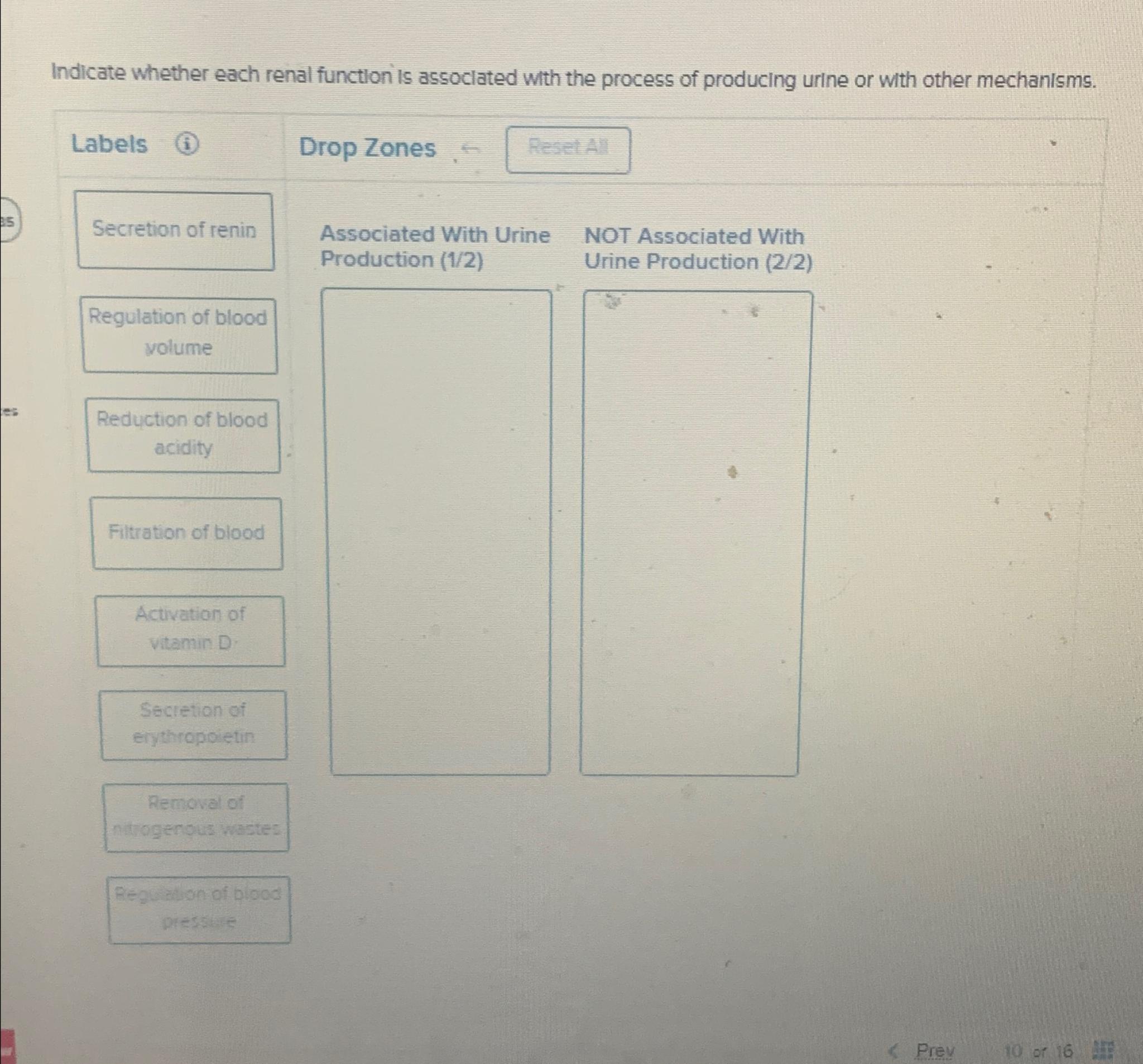 Solved Indicate whether each renal function is assoclated | Chegg.com Solved Indicate whether each renal function is assoclated | Chegg.com
