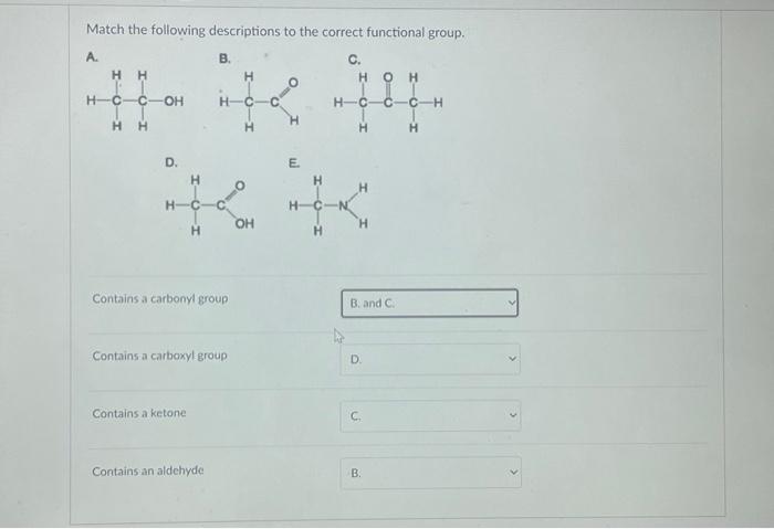 Solved Match the following descriptions to the correct | Chegg.com