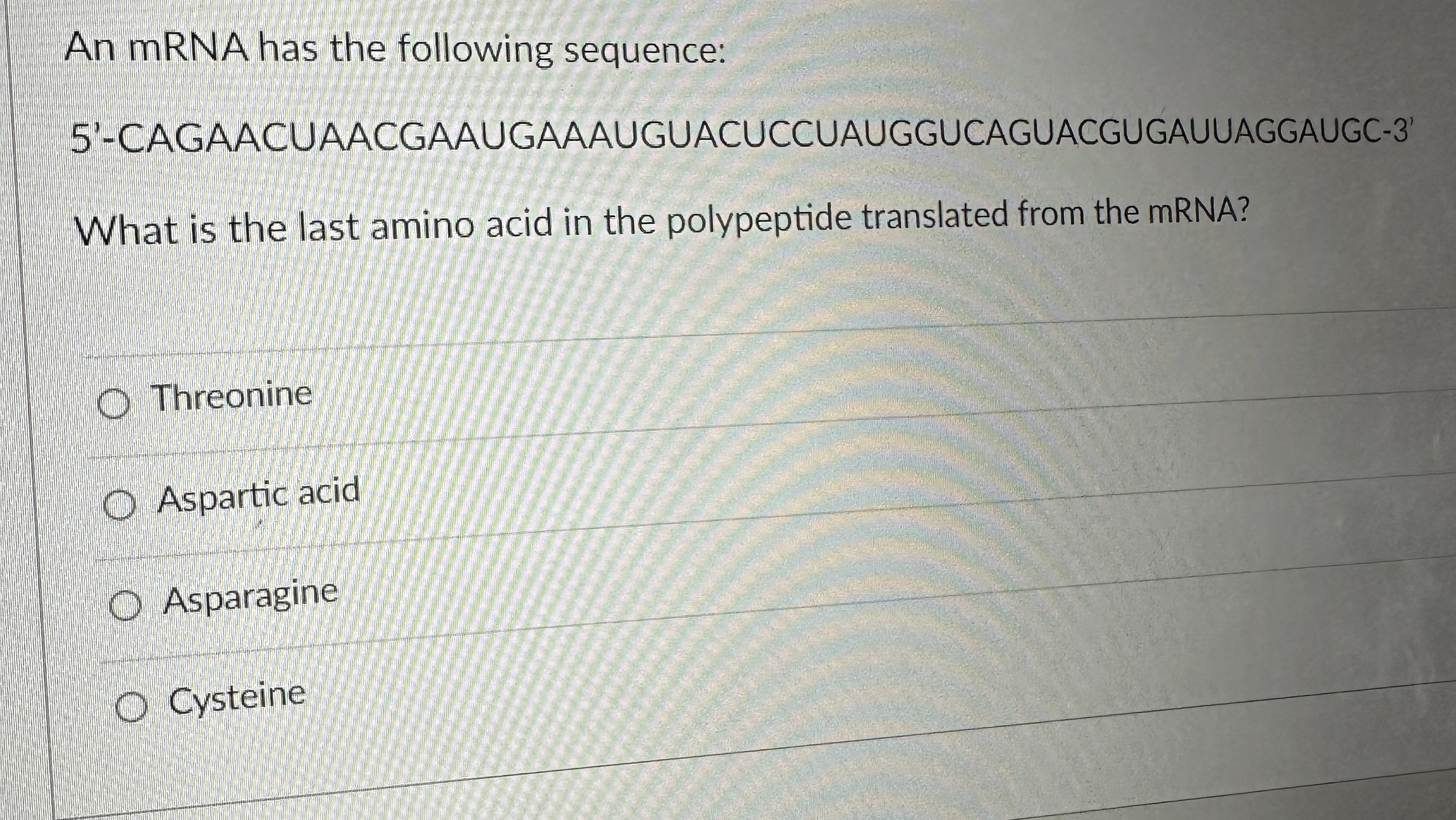 Solved An mRNA has the following | Chegg.com