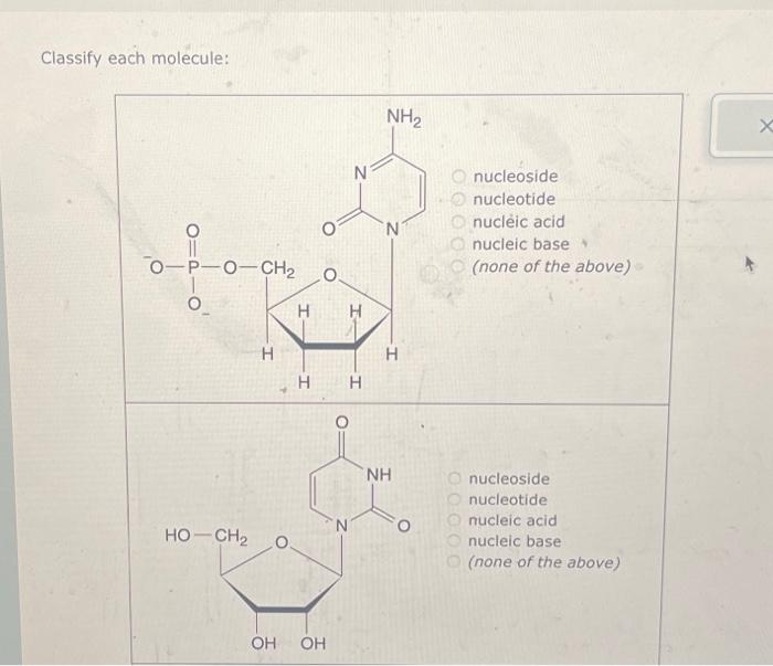 Solved Classify each molecule: nucleoside nucleotide | Chegg.com