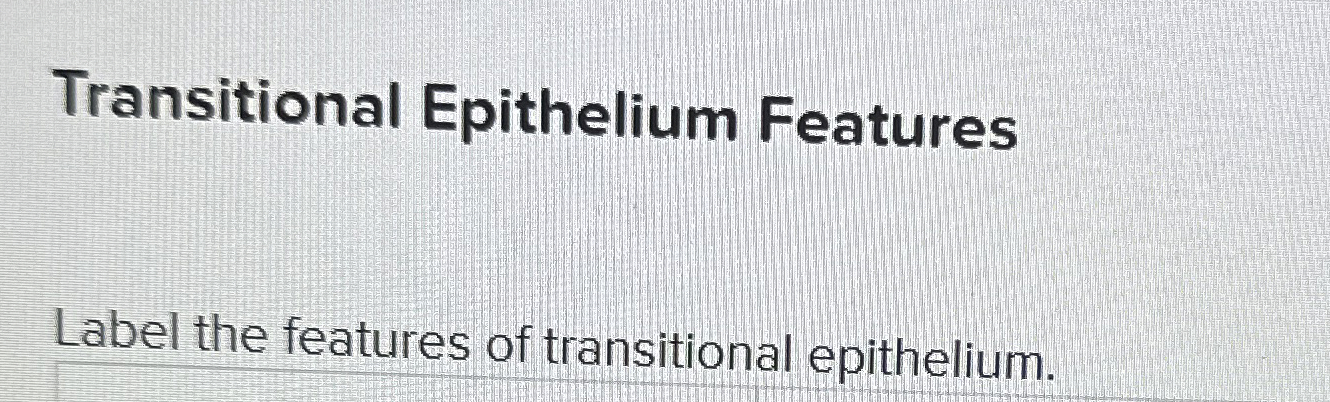 Solved Transitional Epithelium FeaturesLabel the features of | Chegg.com