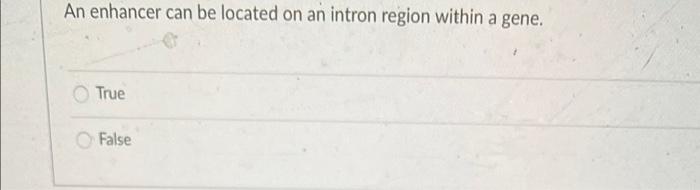 Solved An enhancer can be located on an intron region within | Chegg.com
