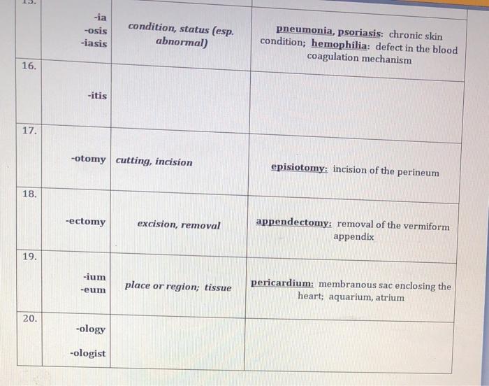 Solved ROOT Definition 4. Example Word + Definition alg dyn | Chegg.com