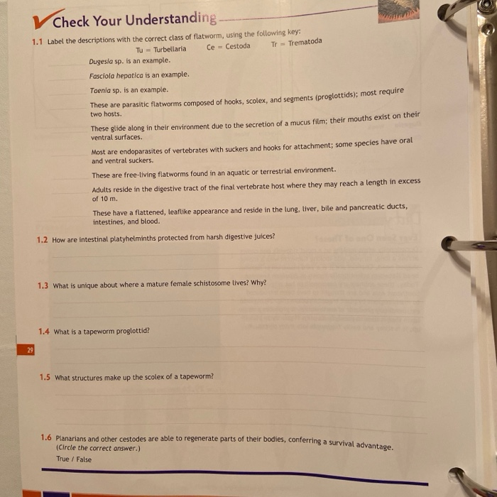 Solved Check Your Understanding 1.1 Label the descriptions | Chegg.com