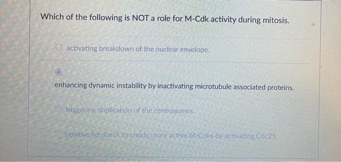 Solved Which of the following statements about connective | Chegg.com