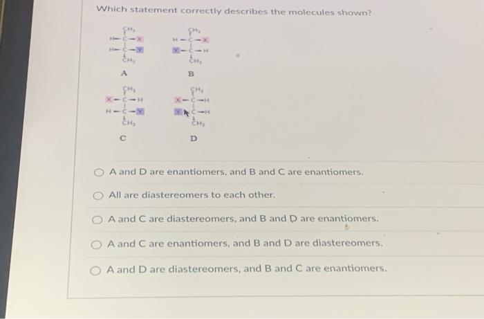 Solved Which statement correctly describes the molecules | Chegg.com