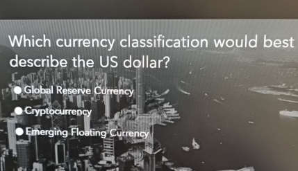 Solved Which currency classification would best describe the | Chegg.com