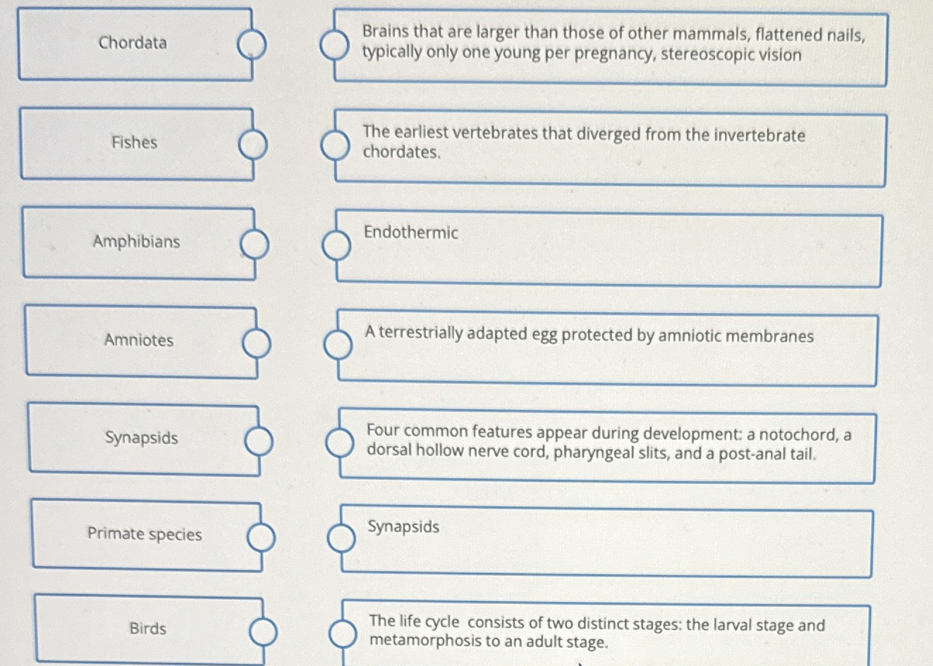 Solved Brains that are larger than those of other mammals, | Chegg.com
