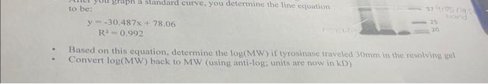 Solved 0 to be: graph a standard curve, you determine the | Chegg.com