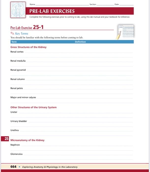 Solved Name Section Date PRE-LAB EXERCISES Complete the | Chegg.com