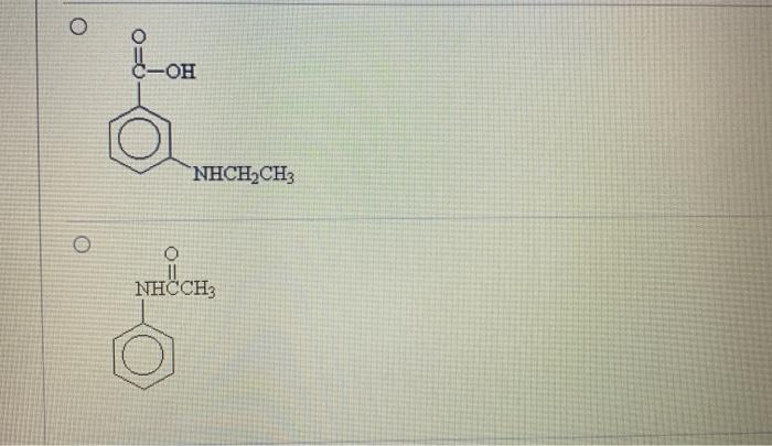 Solved The amide formed in the reaction of benzoic acid and | Chegg.com