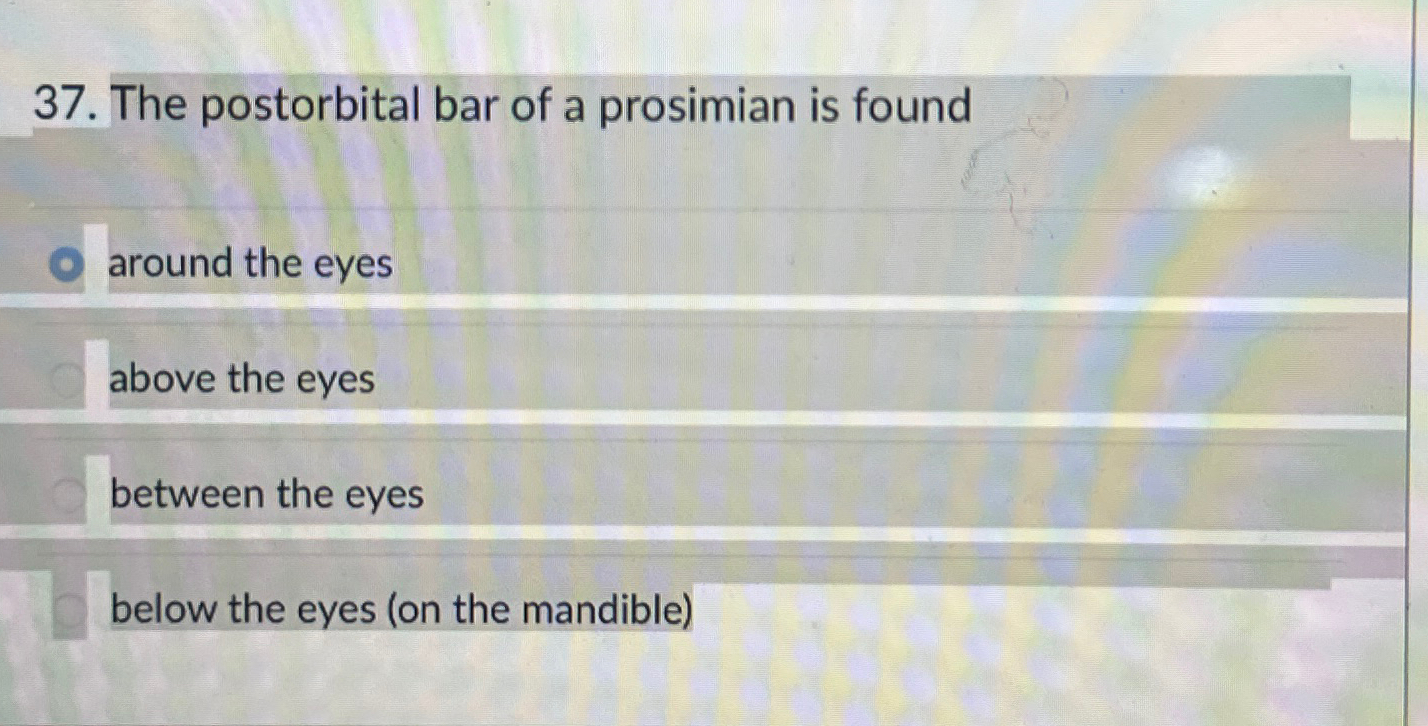 Solved The postorbital bar of a prosimian is foundaround the | Chegg.com