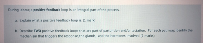 Solved During labour, a positive feedback loop is an | Chegg.com