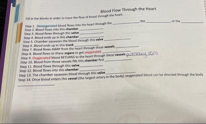 Solved Blood Flow Through the Heart Fill in the blanks in | Chegg.com