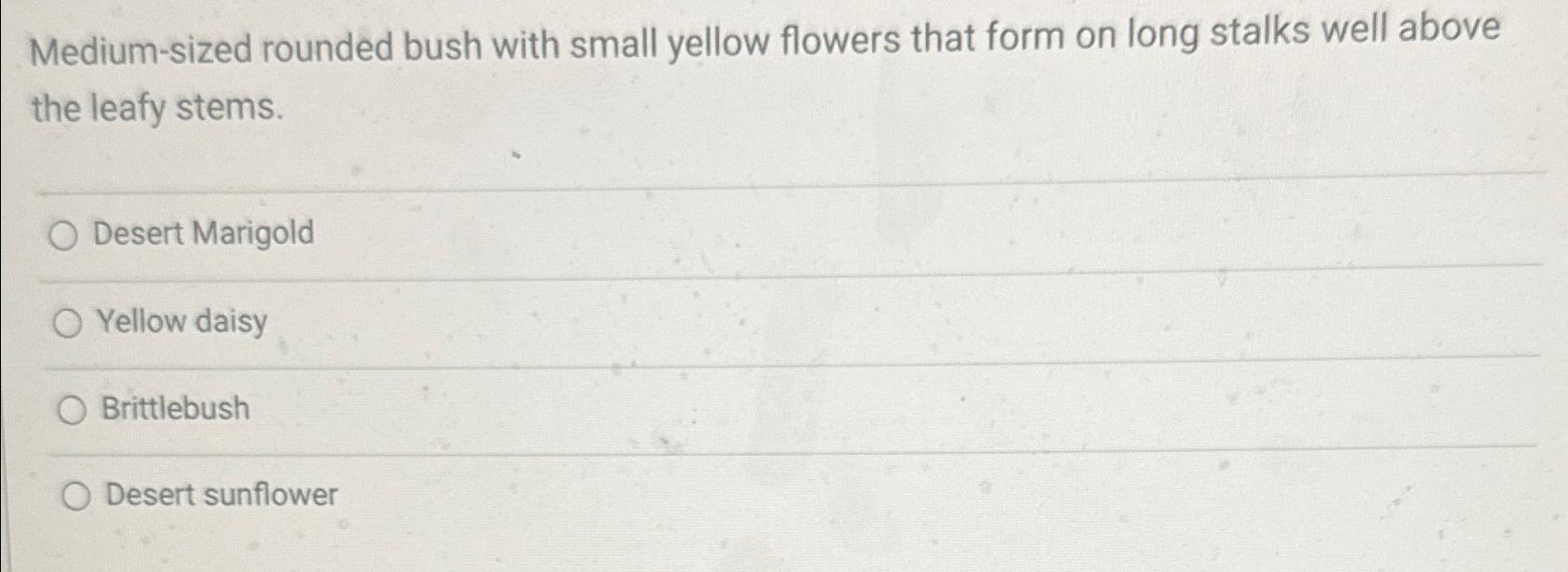 Solved Medium-sized rounded bush with small yellow flowers | Chegg.com