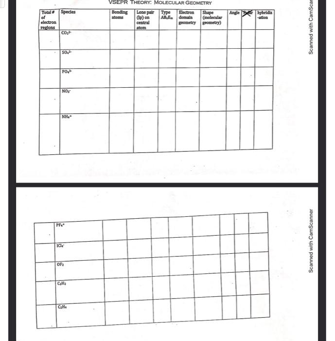 Solved Total Species of electron regions CO? VSEPR THEORY: | Chegg.com