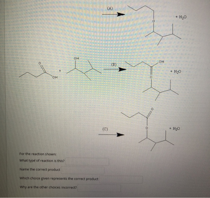 Solved (A) S + H20 OH OH OS + H2O For the reaction shown: | Chegg.com