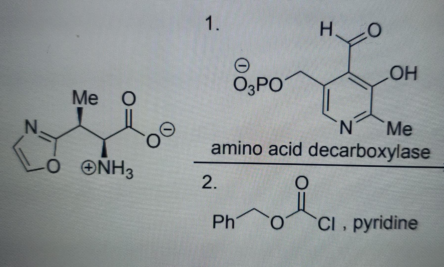 Solved ОН ОН О 1. НО*, H2O 2. Ac20, pyridine НО. H 3. НО НО | Chegg.com