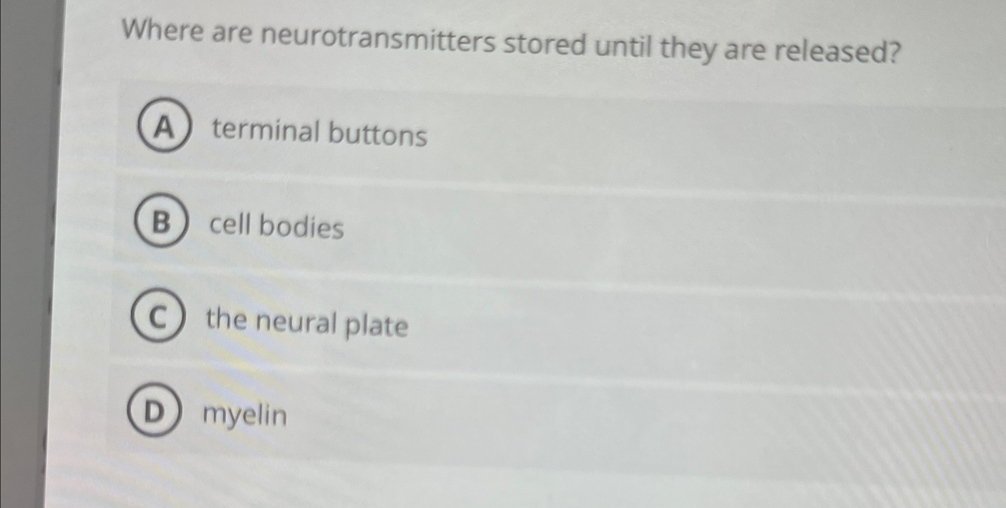 Solved Where are neurotransmitters stored until they are | Chegg.com
