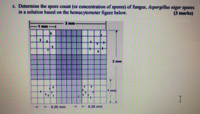 Solved C Determine The Spore Count Or Concentration Of
