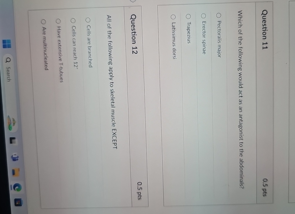 Solved Question 110.5 ﻿ptsWhich of the following would act | Chegg.com