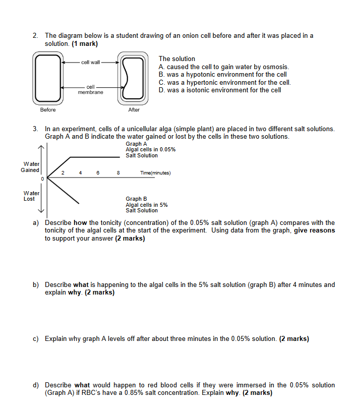 Solved The diagram below is a student drawing of an onion | Chegg.com