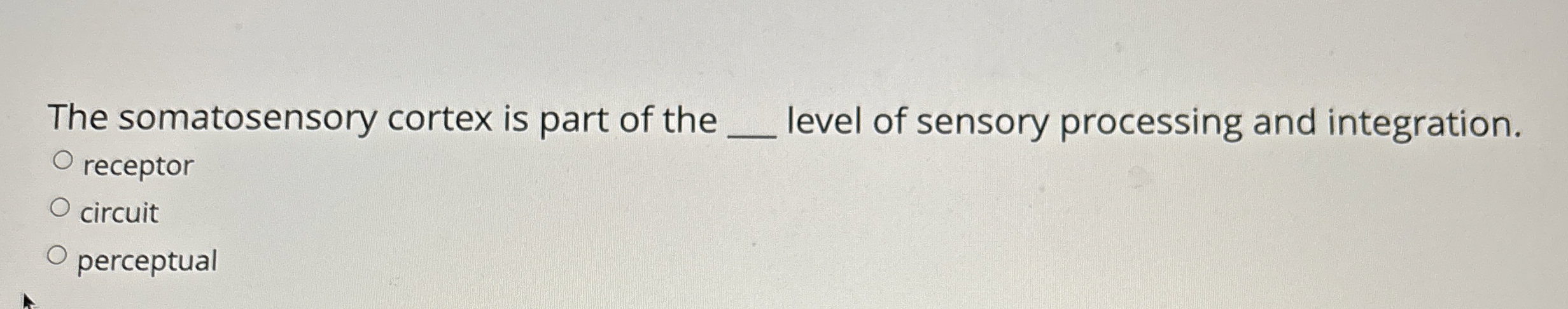 Solved The somatosensory cortex is part of the q, ﻿level of | Chegg.com