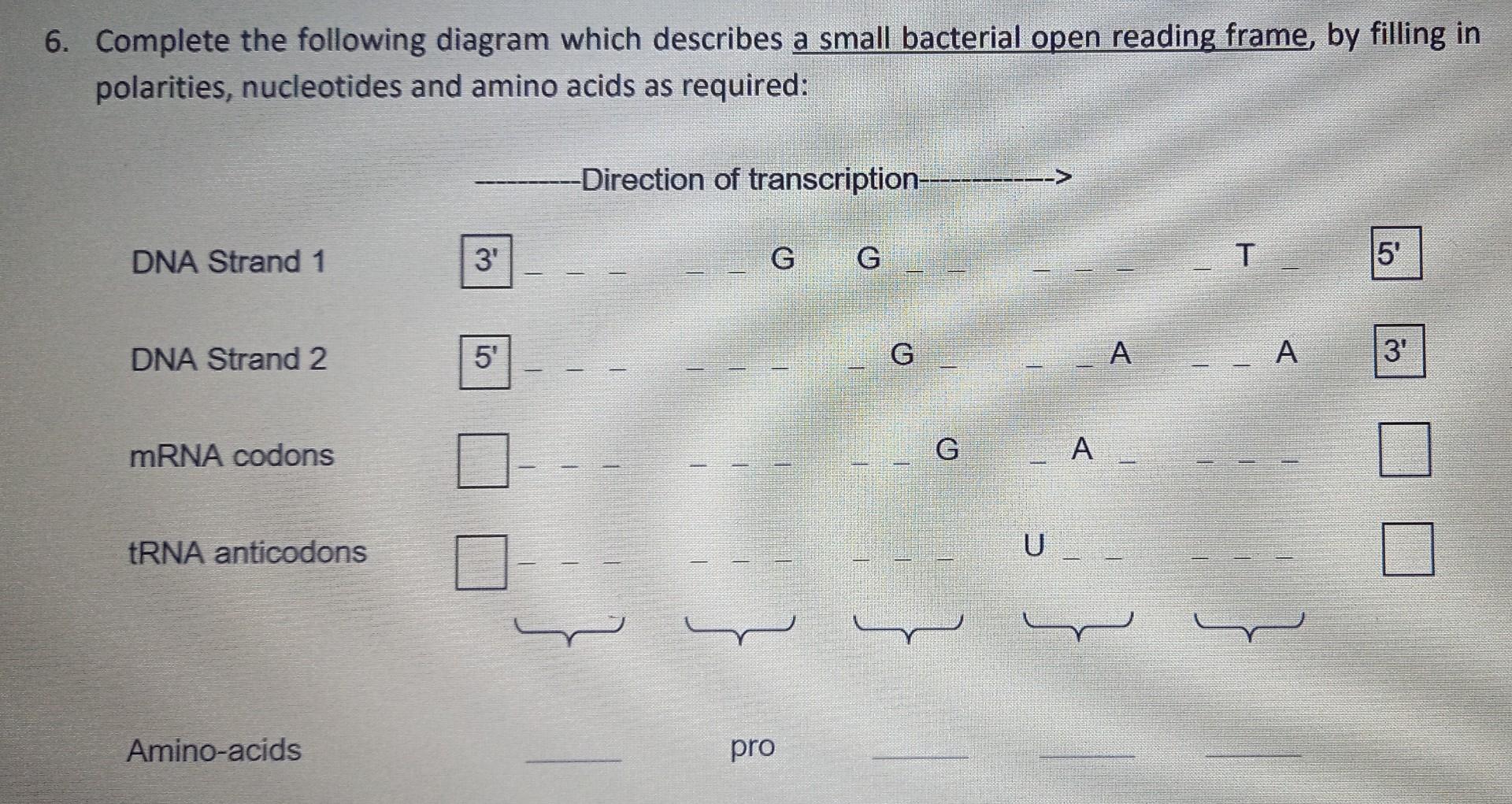 Solved Complete the following diagram which describes a | Chegg.com