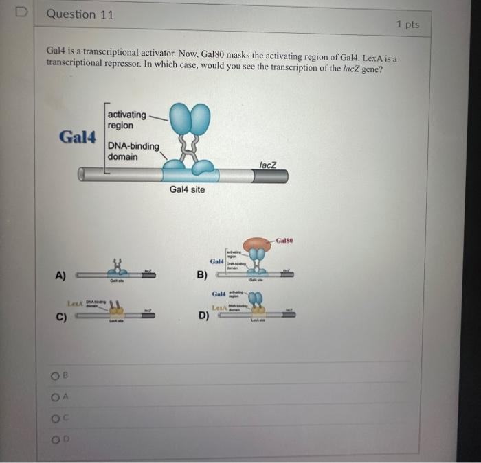 Solved (Figure) The protein indicated by the question mark | Chegg.com